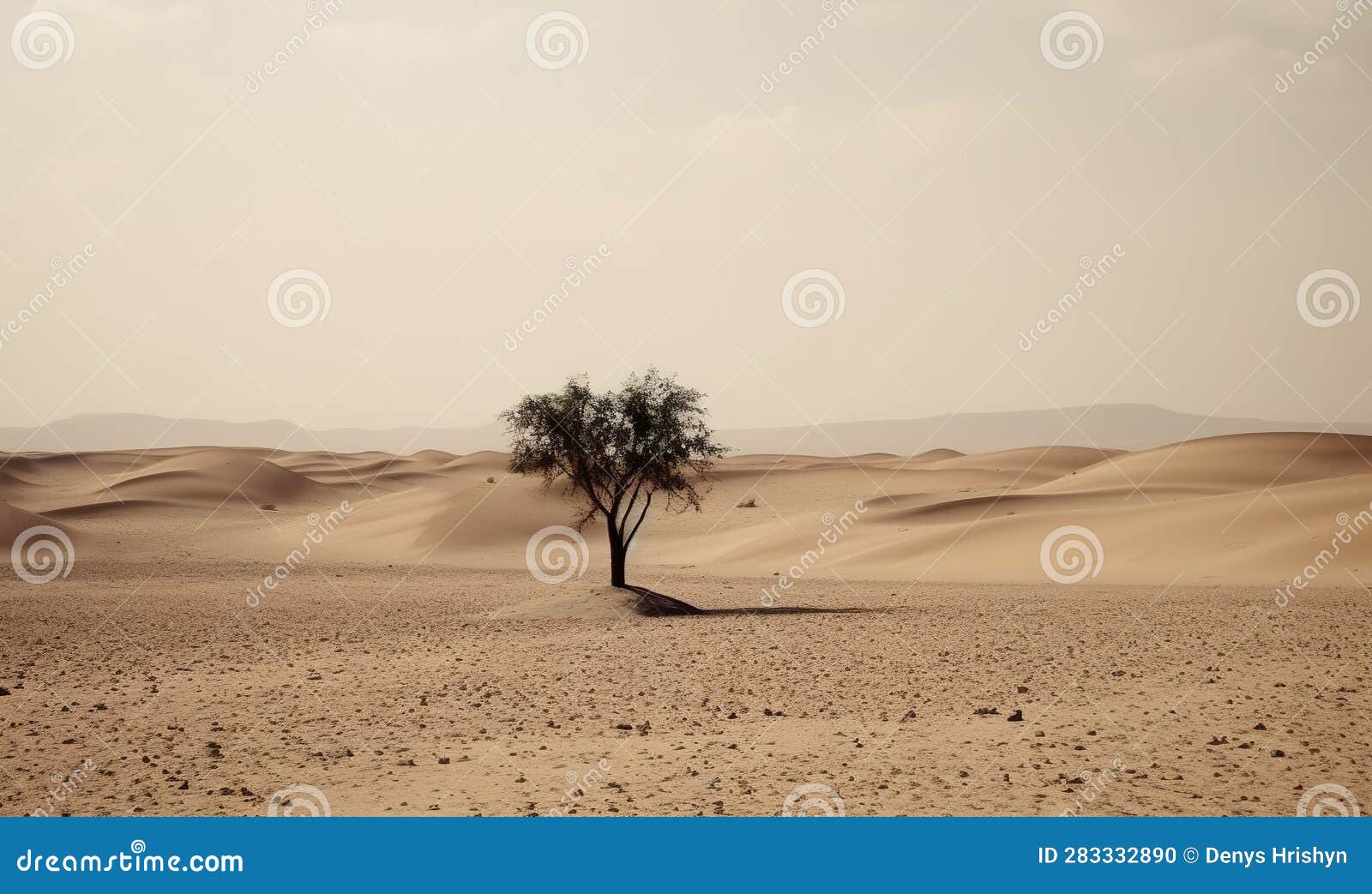 A Single Tree in the Vast Desert Expanse Stock Illustration ...