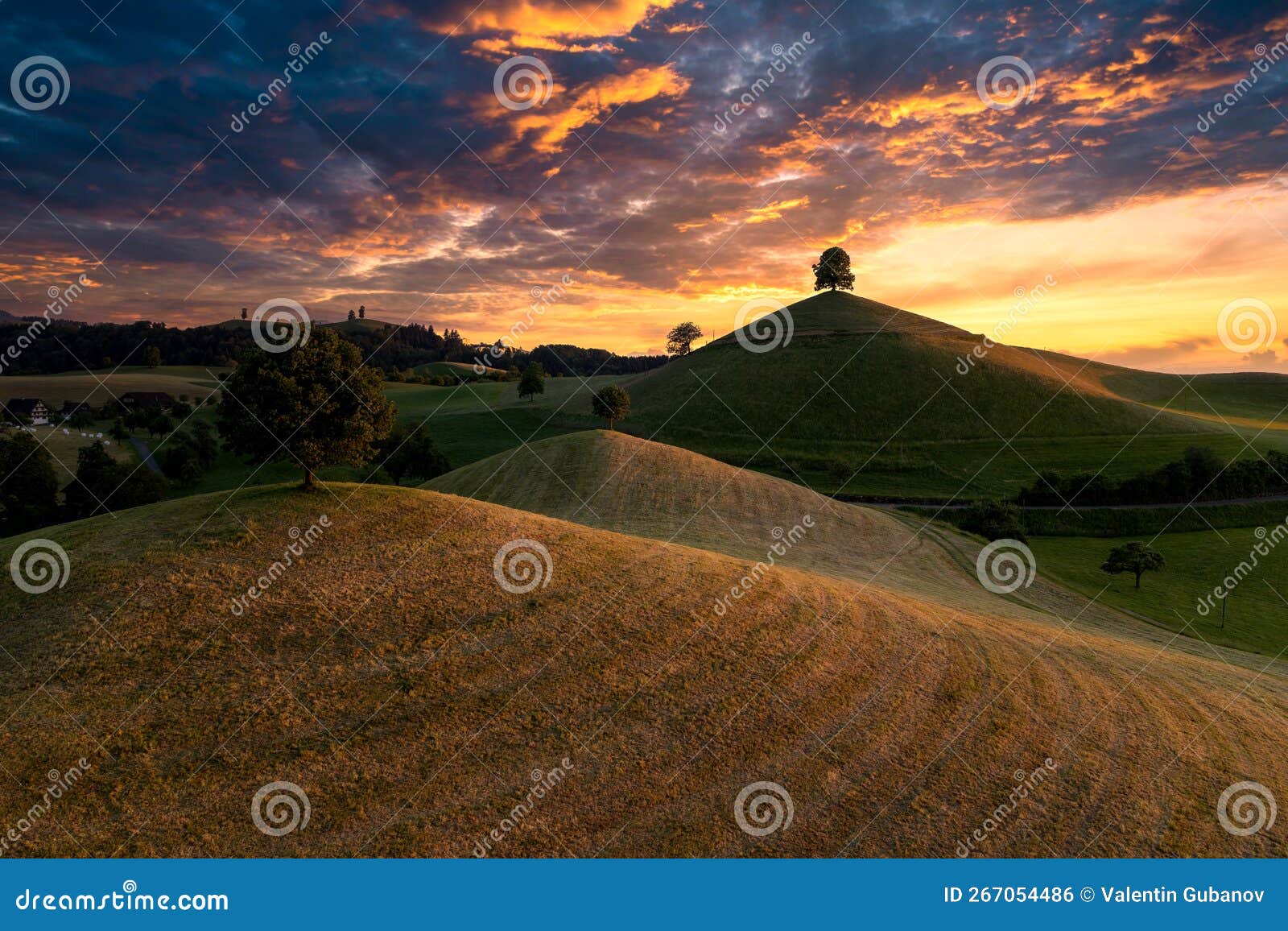 Single Trees on Hills during Sunset Stock Photo - Image of mountain ...