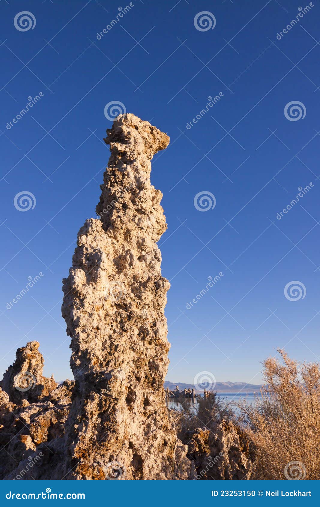 Single Tufa Closeup stock photo. Image of natural, carbonate - 23253150