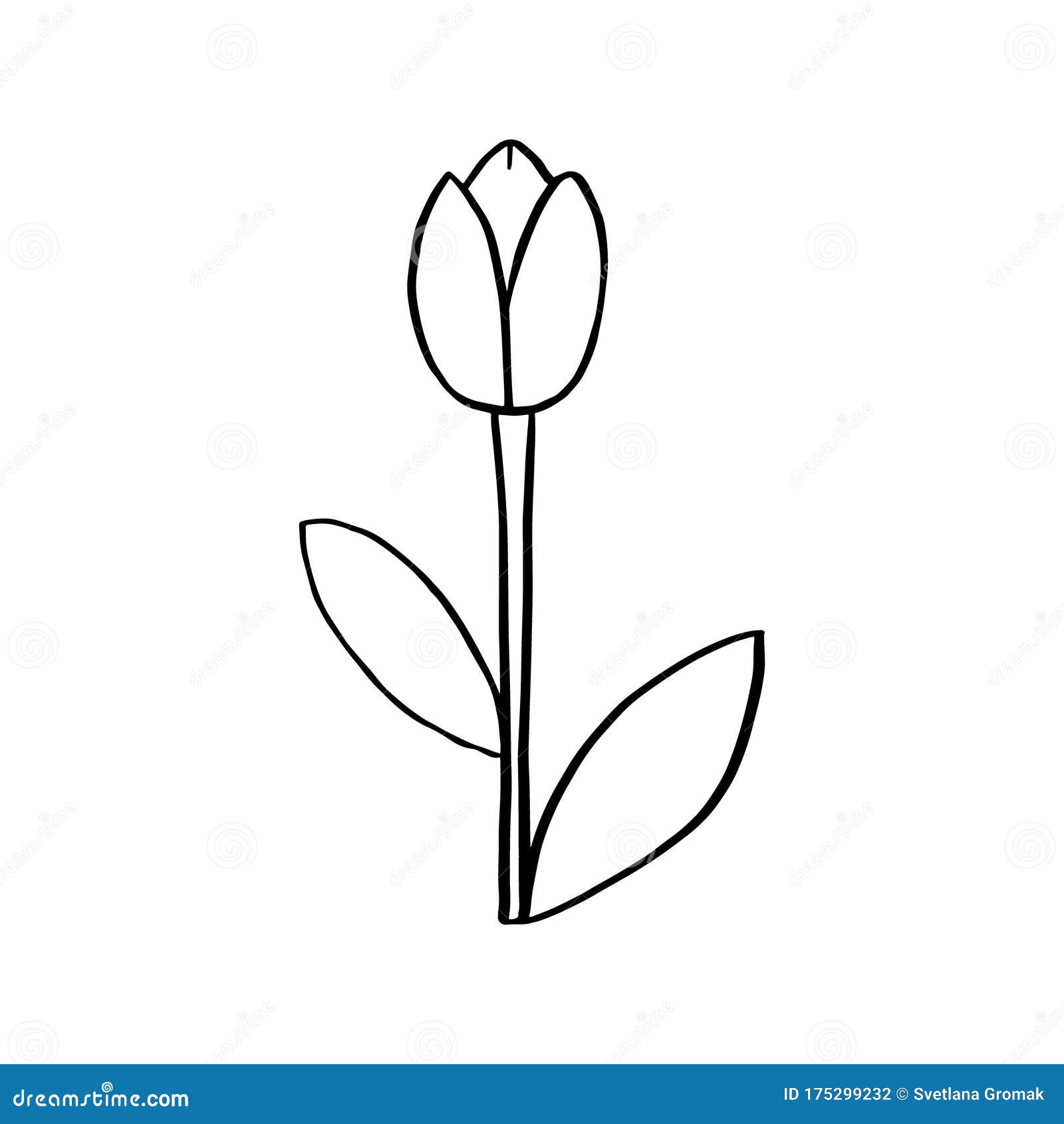 Single Tulip in the Doodle Style .Black and White Image Isolated on a ...