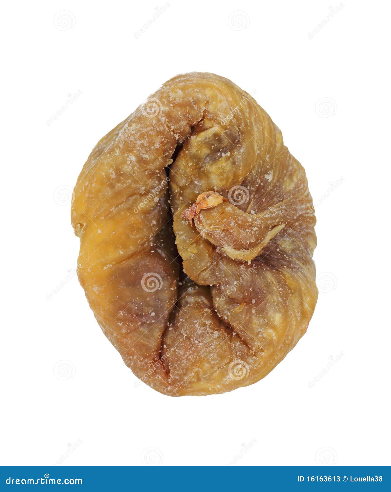 Single Turkish Dried Fig stock image. Image of taste - 16163613