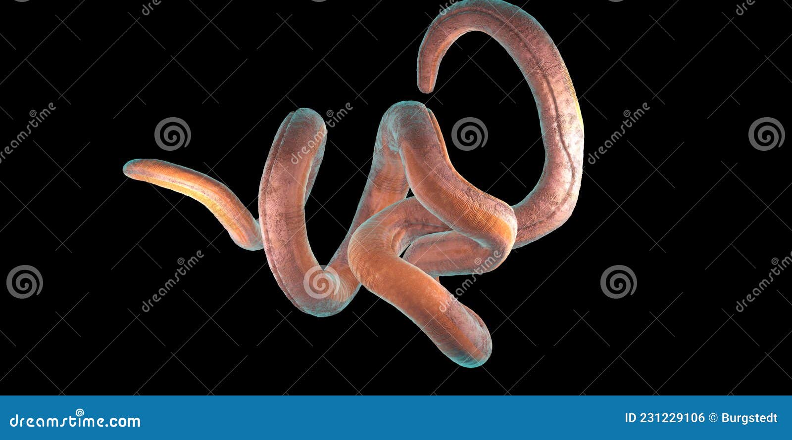 Nematode Cartoons, Illustrations & Vector Stock Images - 1824 Pictures ...