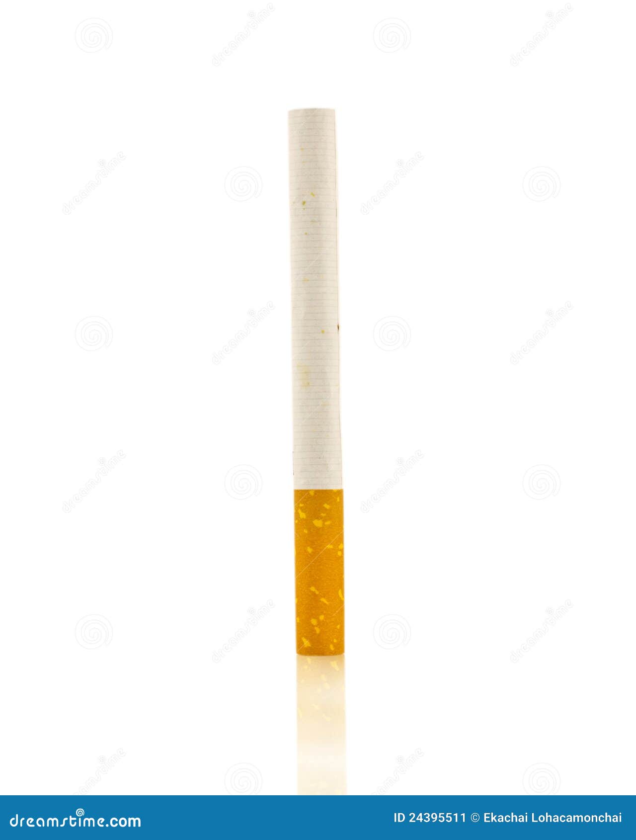 A Single Unlit Cigarette Stock Image - Image: 24395511 A Single Unlit Cigarette Stock Image - Image: 24395511
