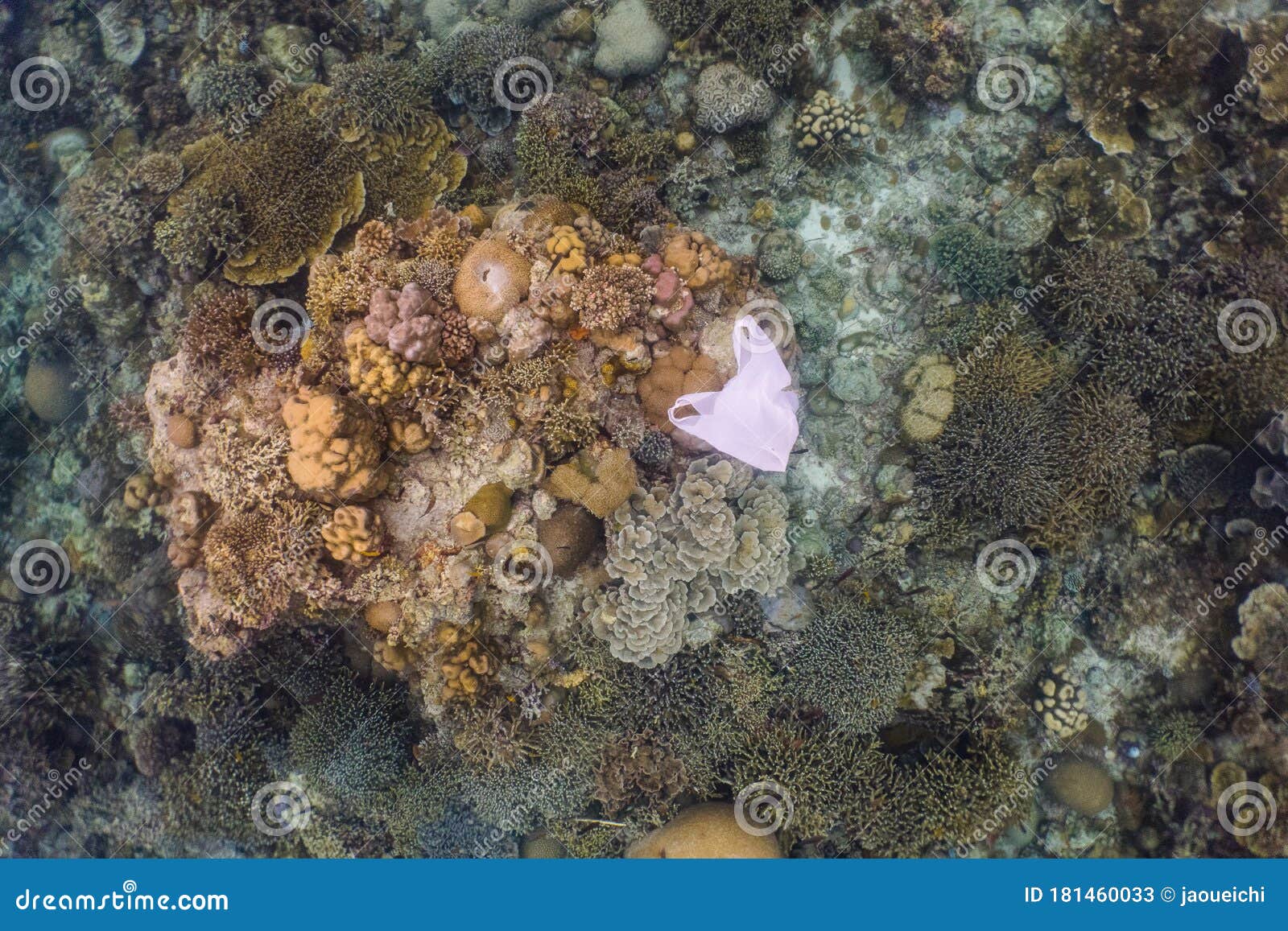 Single-use Plastic in a Shallow Reef. Plastic is a Major Contributor of ...