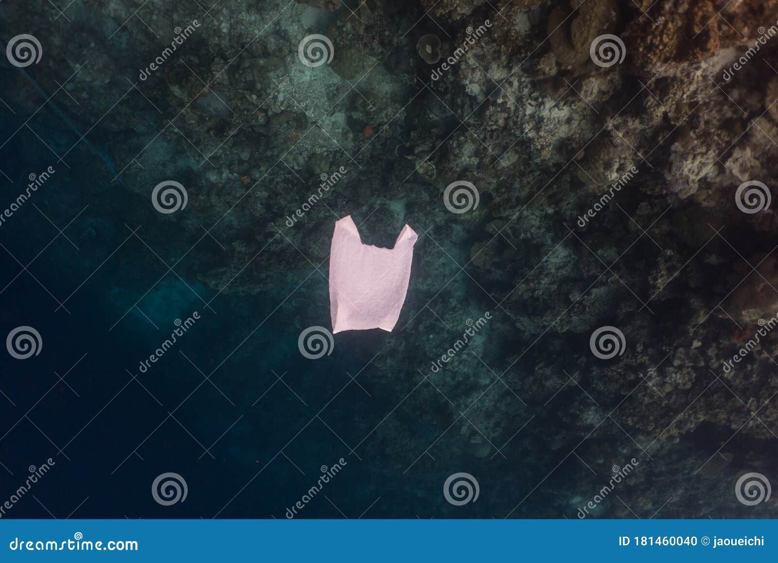 Single-use Plastic in a Shallow Reef. Plastic is a Major Contributor of ...