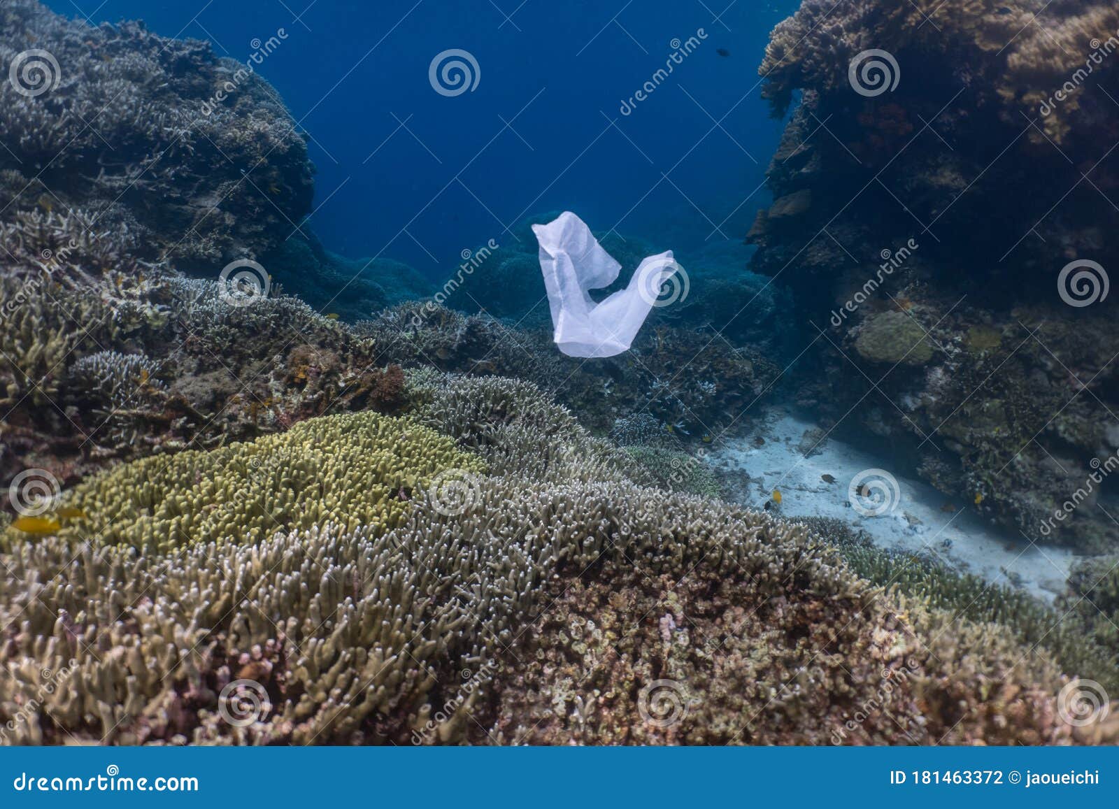 Single-use Plastic in a Shallow Reef. Plastic is a Major Contributor of ...
