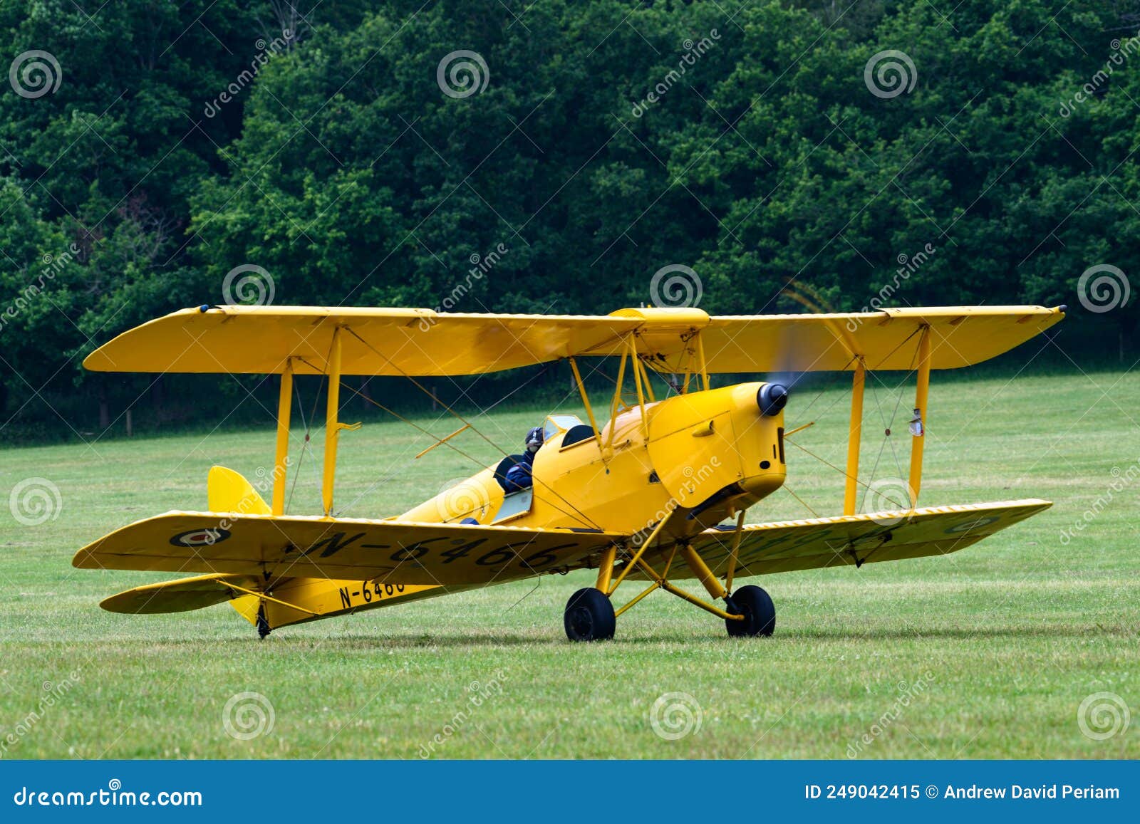 Single Vintage Yellow Tiger Moth Aircraft Editorial Image - Image of ...