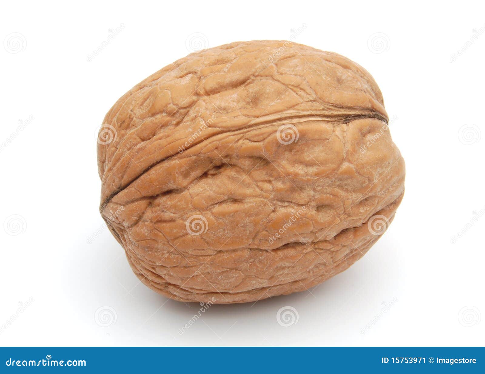Single walnut stock image. Image of health, tasty, natural - 15753971