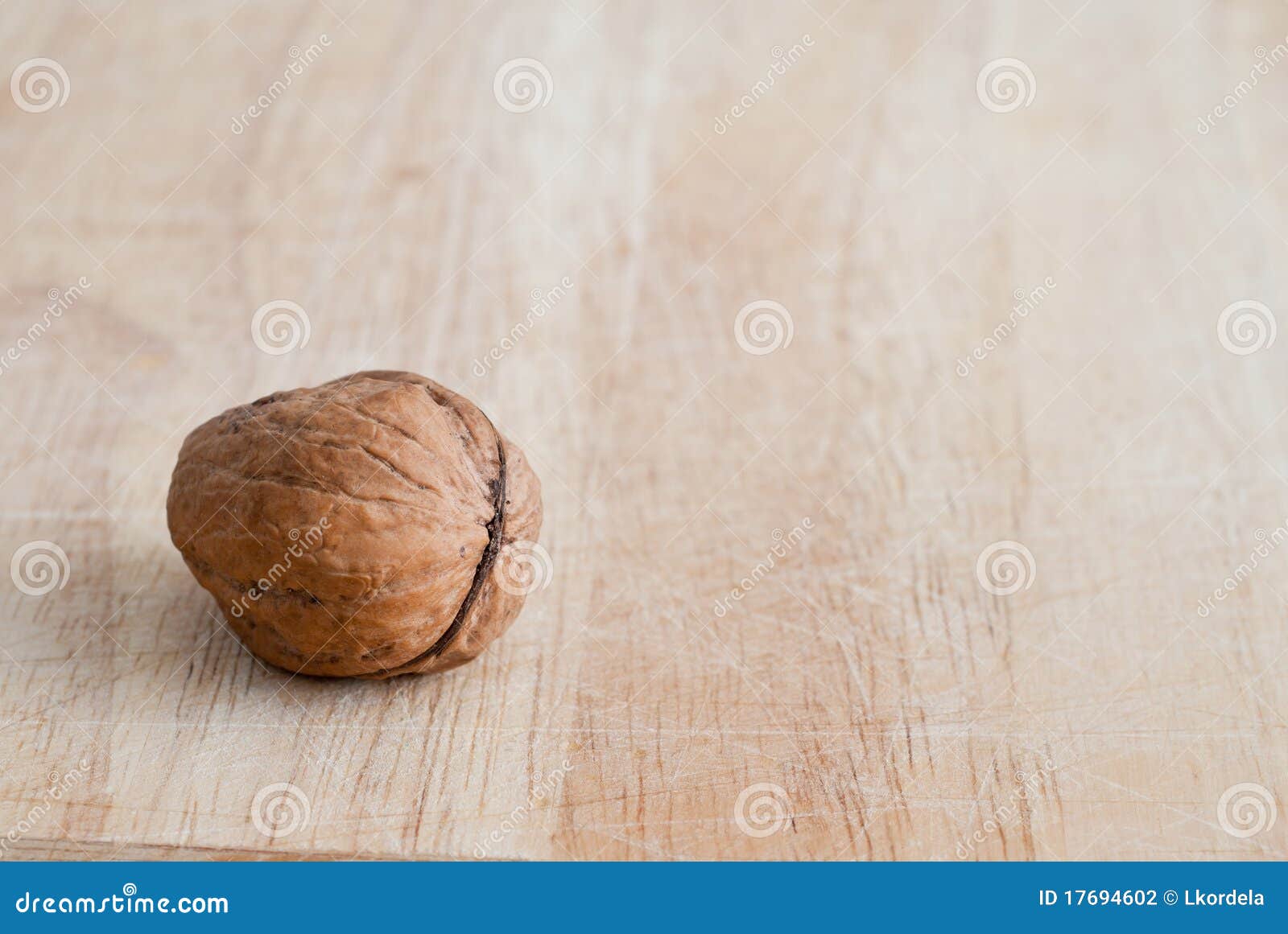Single walnut stock photo. Image of food, fruit, mature - 17694602