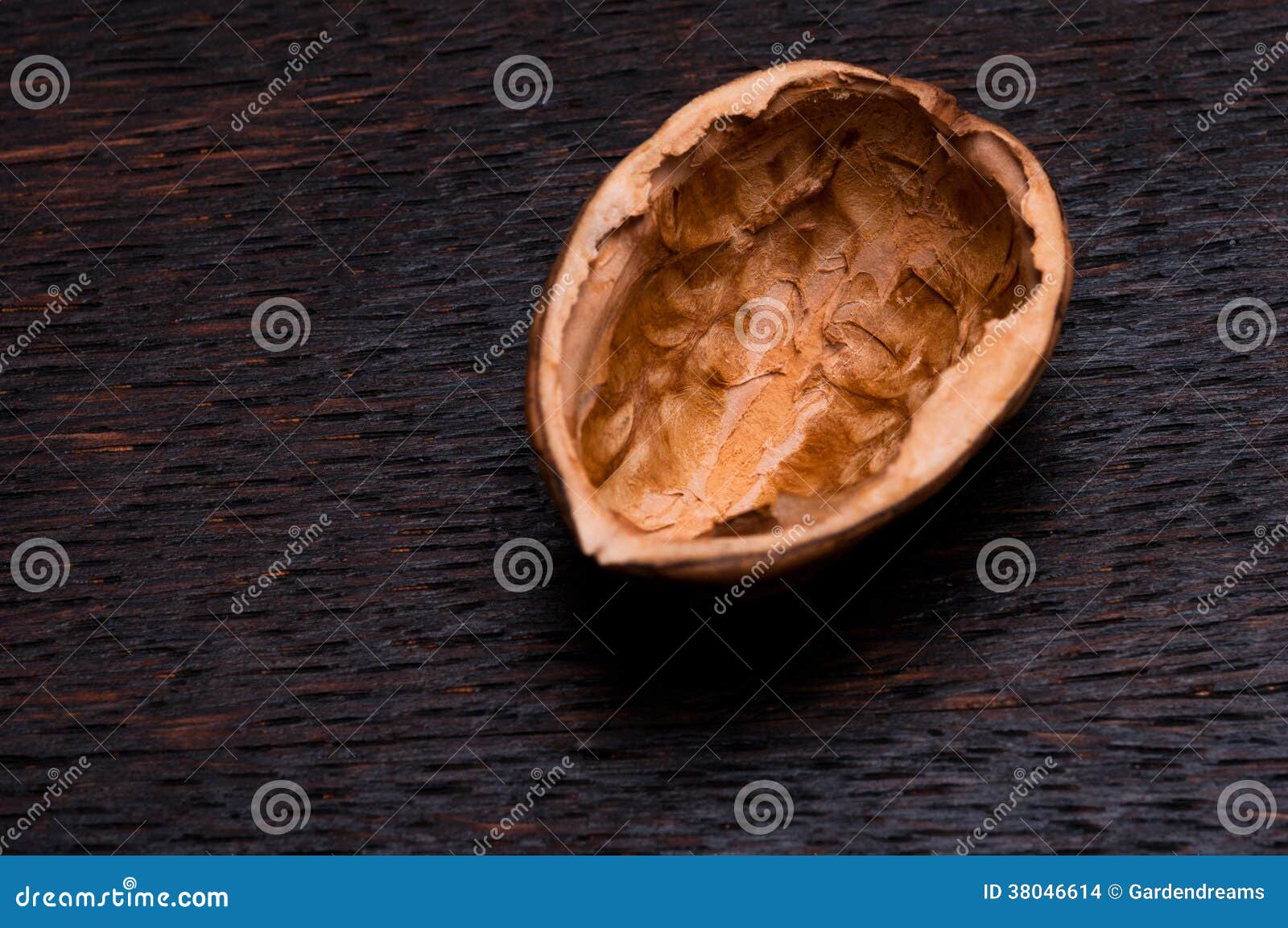 Single walnut stock photo. Image of magnesium, structure - 38046614