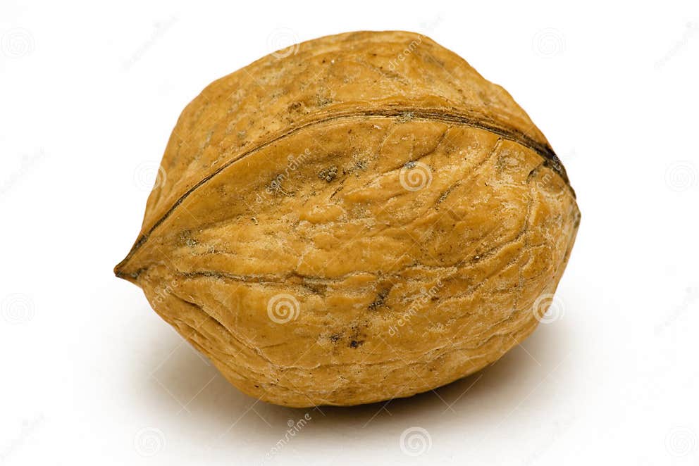 Single Walnut stock image. Image of food, brown, nature - 471825
