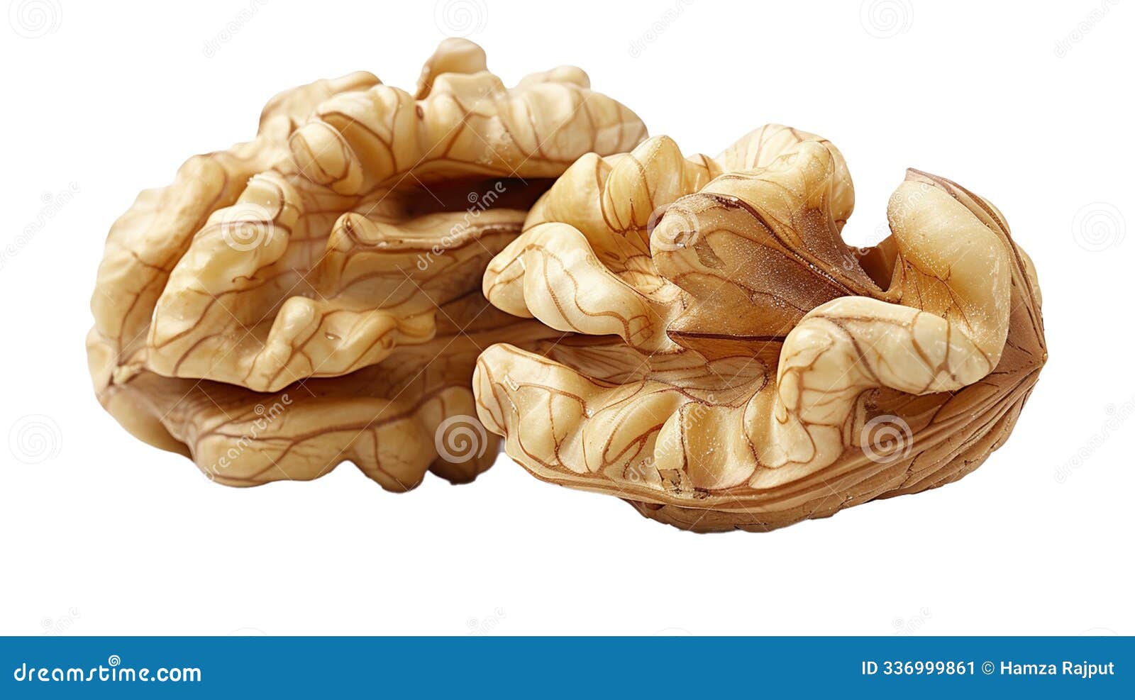 Single Walnut Hyper Realistic Highly Detailed Isolated on White ...