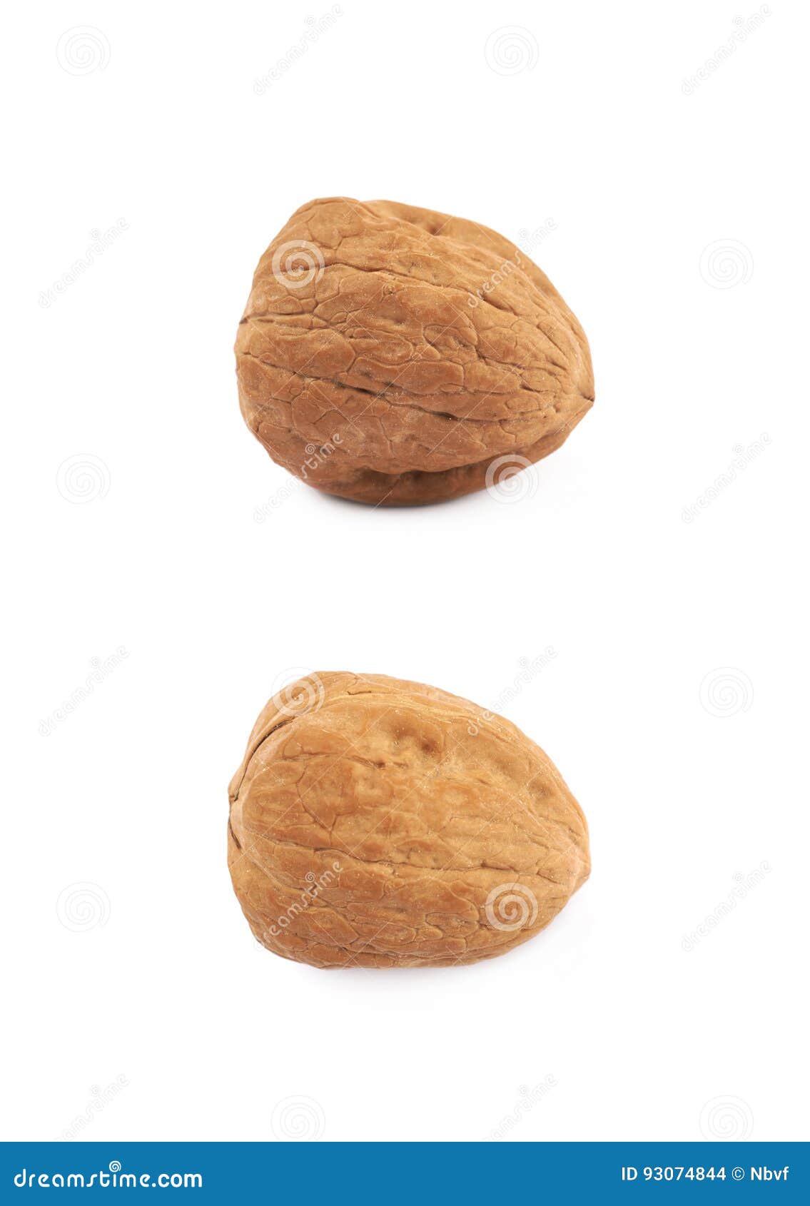 Single walnut isolated stock photo. Image of closeup - 93074844