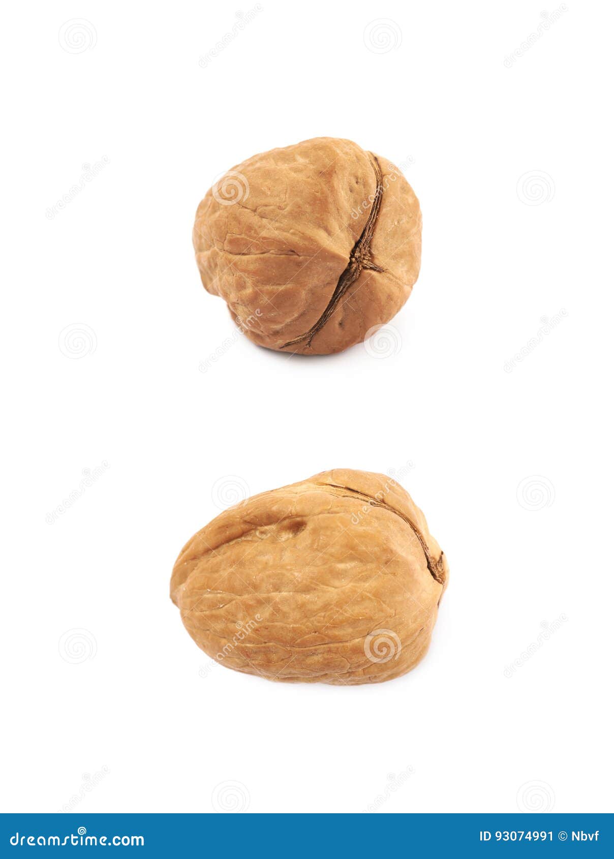 Single walnut isolated stock image. Image of close, delicious - 93074991