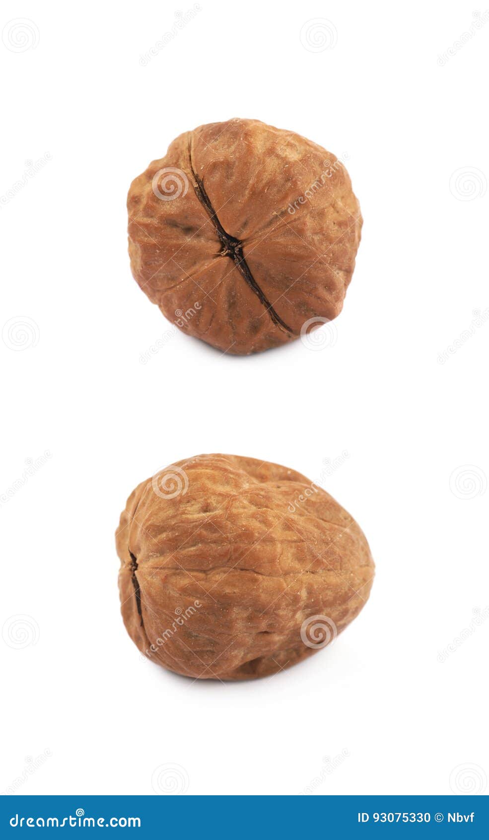 Single walnut isolated stock photo. Image of nutty, hard - 93075330