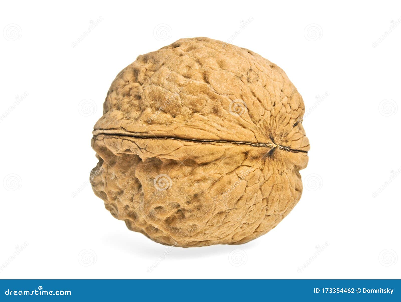 Single Walnut Isolated on White Background Stock Photo - Image of snack ...