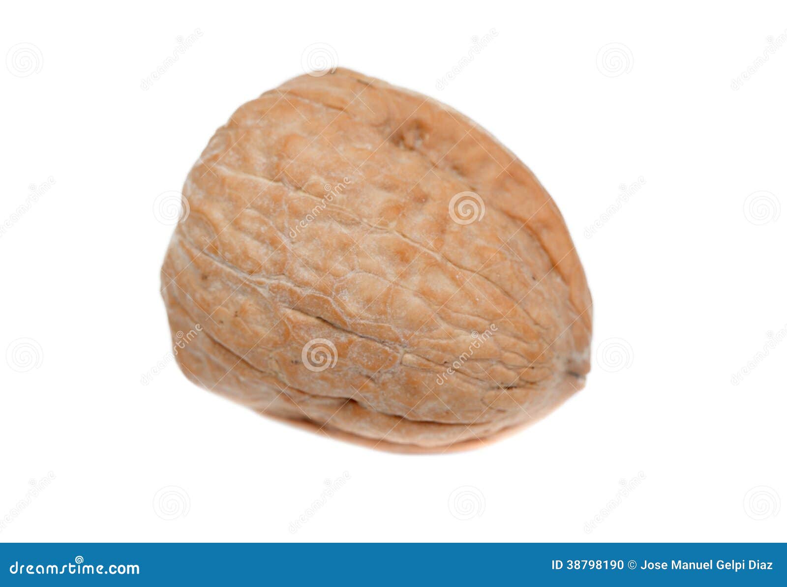 Single walnut isolated stock photo. Image of natural - 38798190