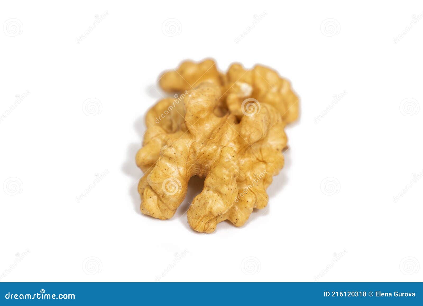 Single Walnut Kernel Isolated on White Background Stock Photo - Image ...