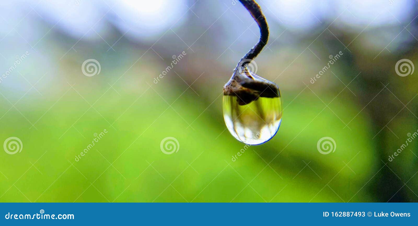 Single water droplet stock image. Image of water, droplet - 162887493