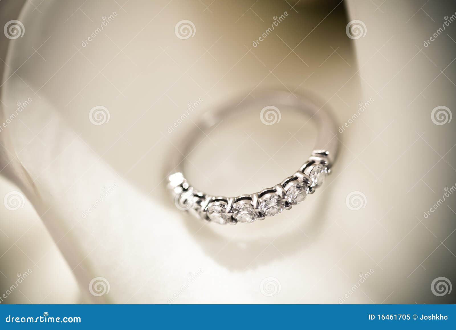 Single Wedding Band in White Flower Stock Image - Image of gold, life ...
