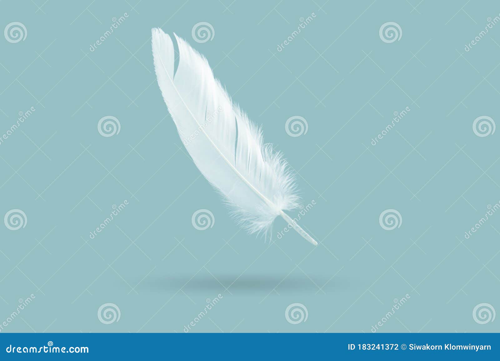 Single White Bird Faether Falling in the Ai Stock Photo - Image of ...