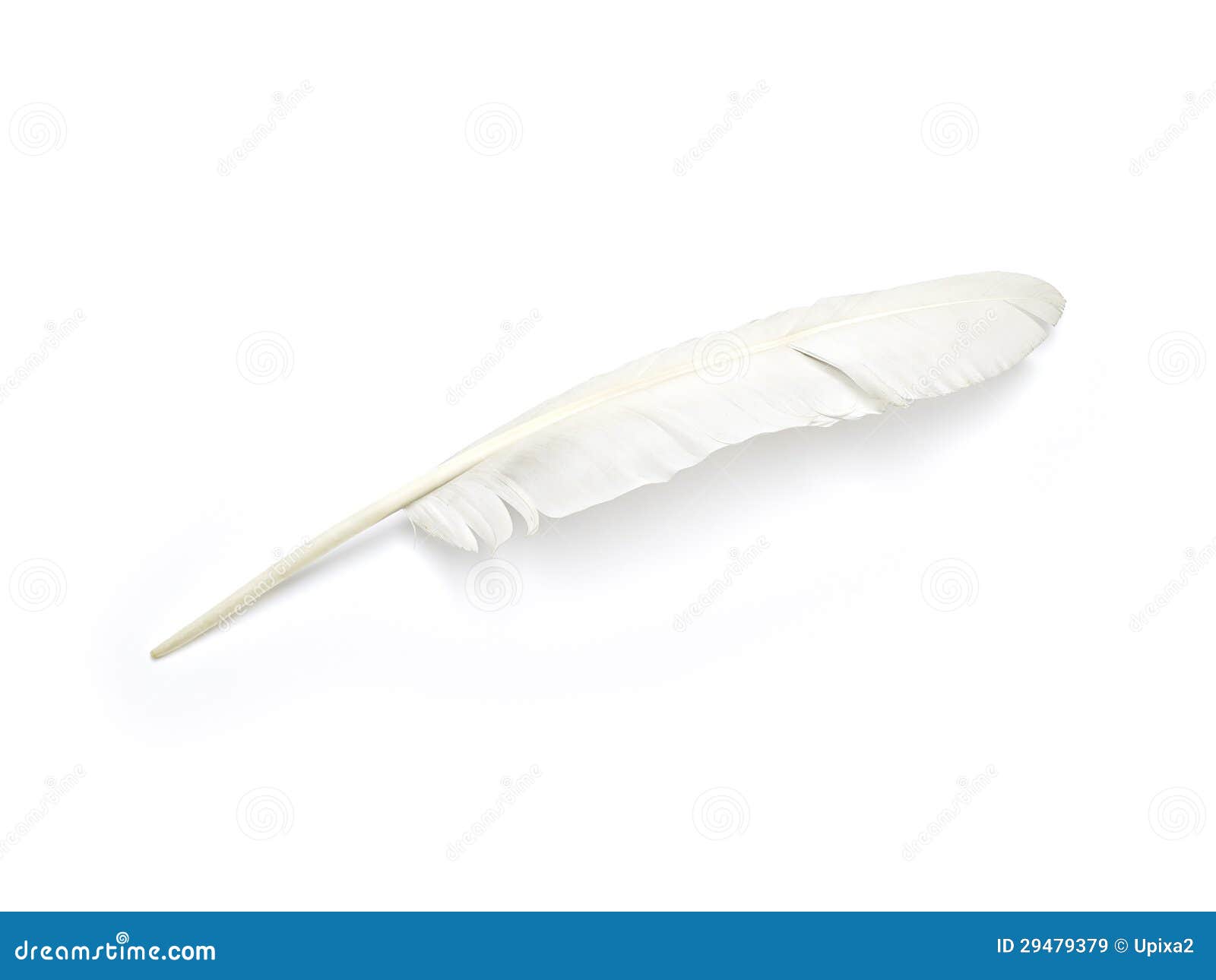 Single white feather stock image. Image of background - 29479379