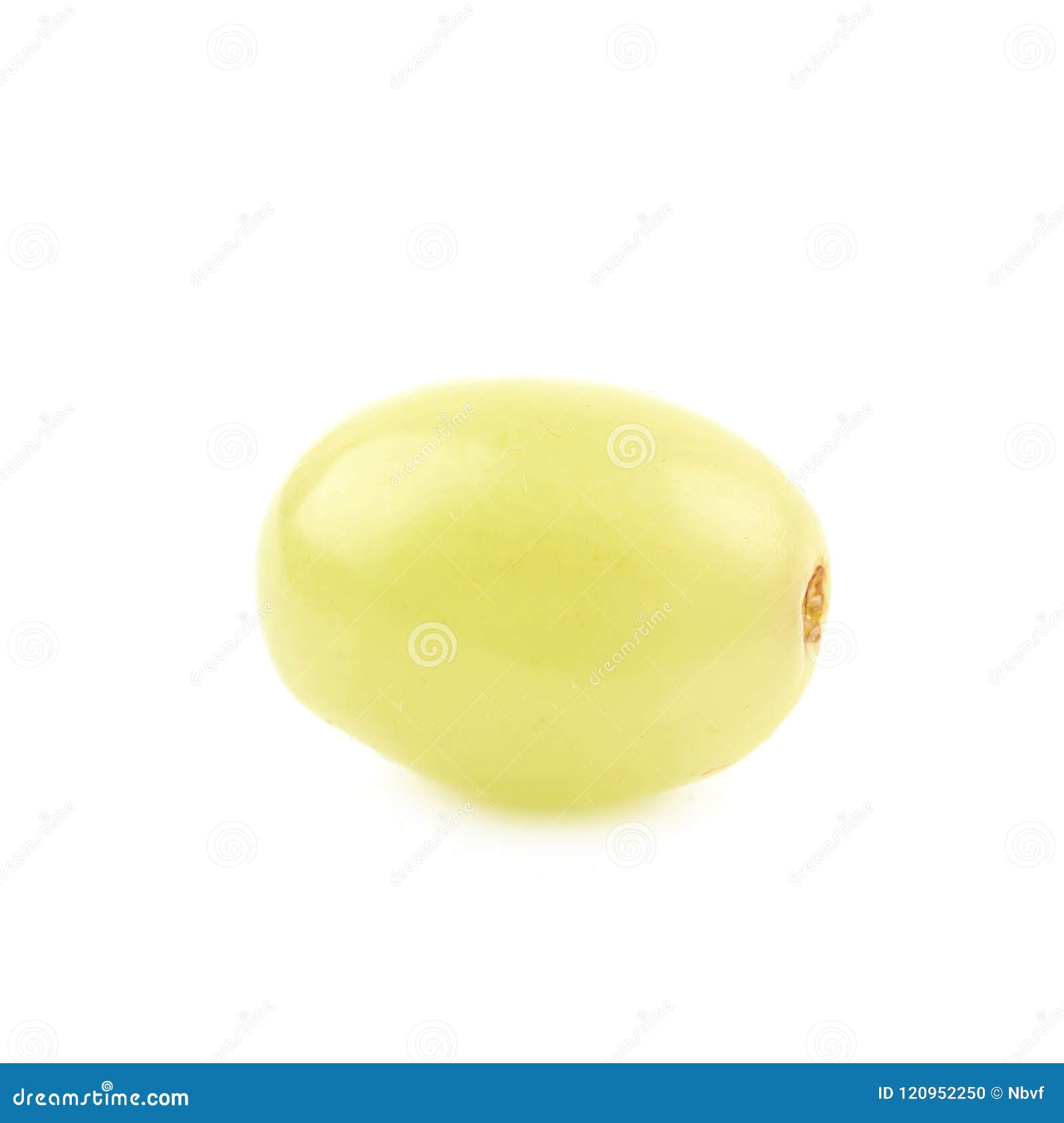 Single white grape stock photo. Image of autumn, fruit - 120952250