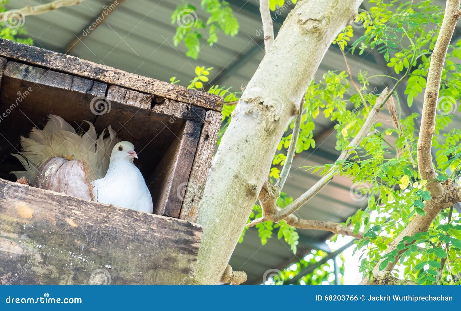 Nest Corner Border With Pink, Rose Gold Stock Photo | CartoonDealer.com ...