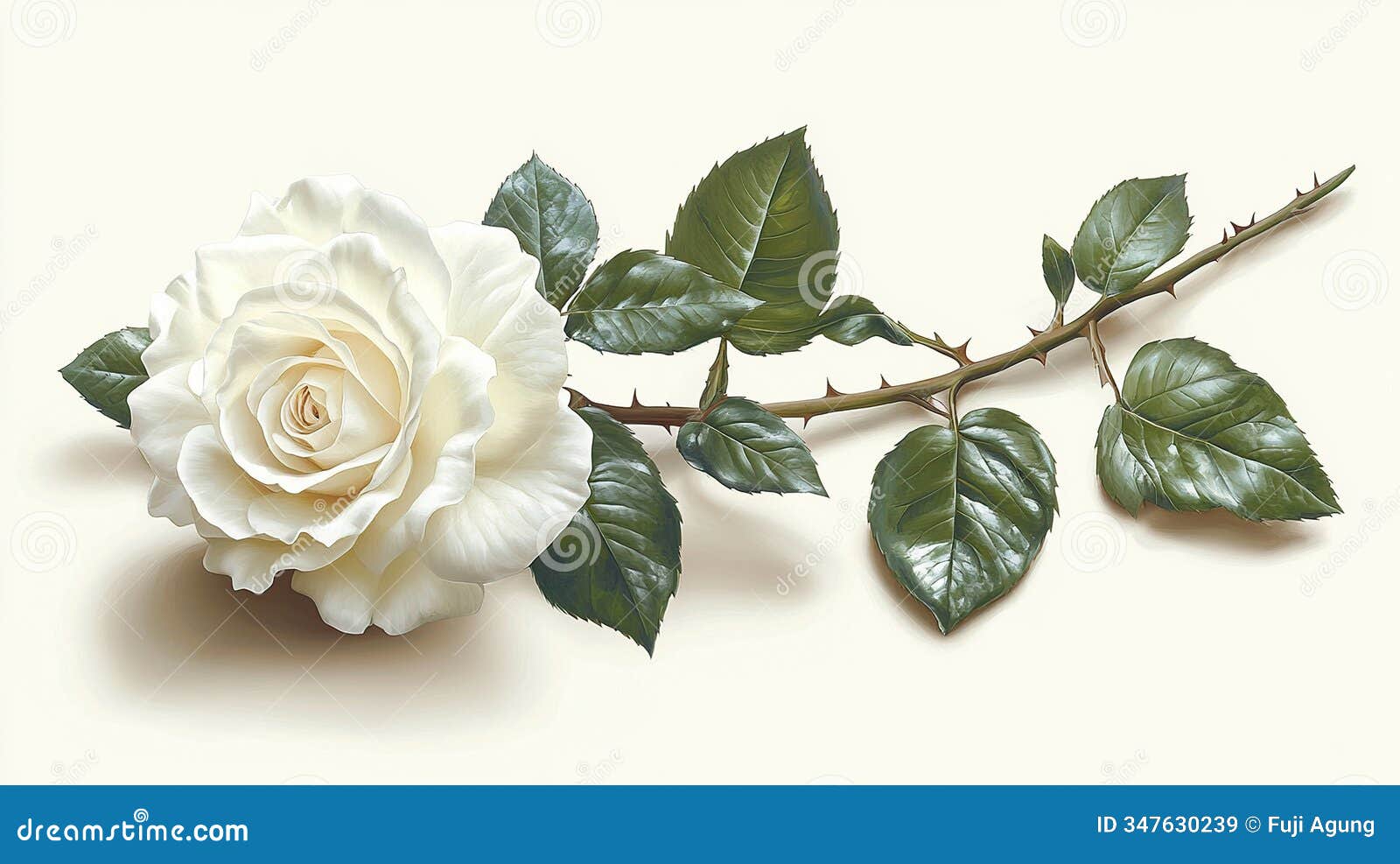 Single White Rose with Stem and Leaves on a Beige Background Stock Illustration - Illustration ...