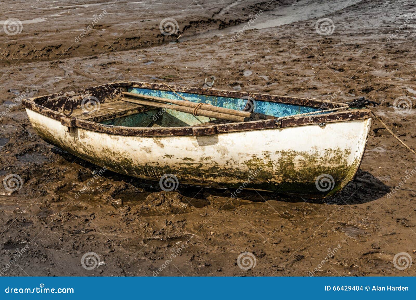 Single White Rowing Boat Stuck on Mud Flats Stock Photo - Image of ...