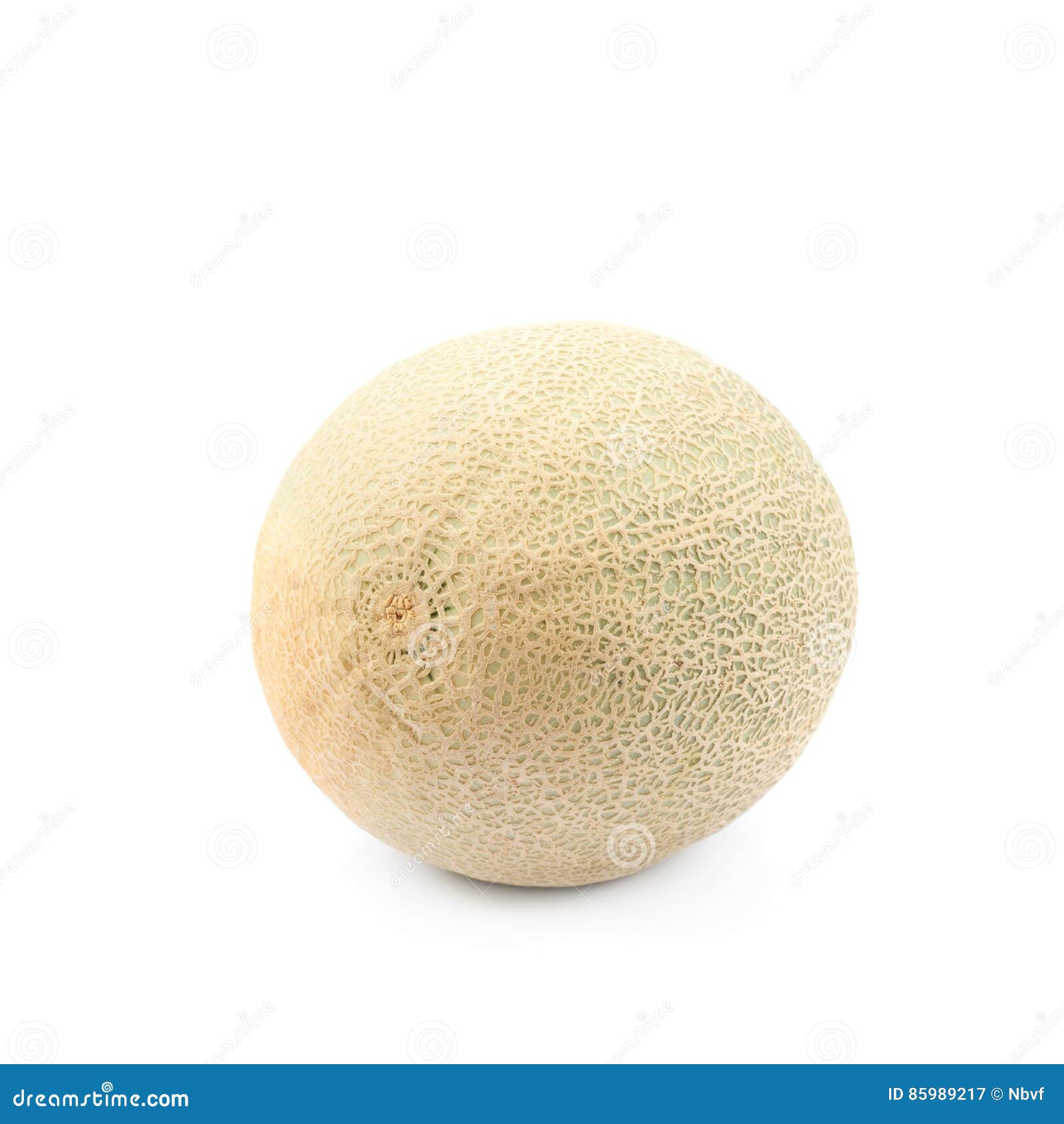 Single Whole Cantaloupe Melon Isolated Stock Image - Image of healthy ...