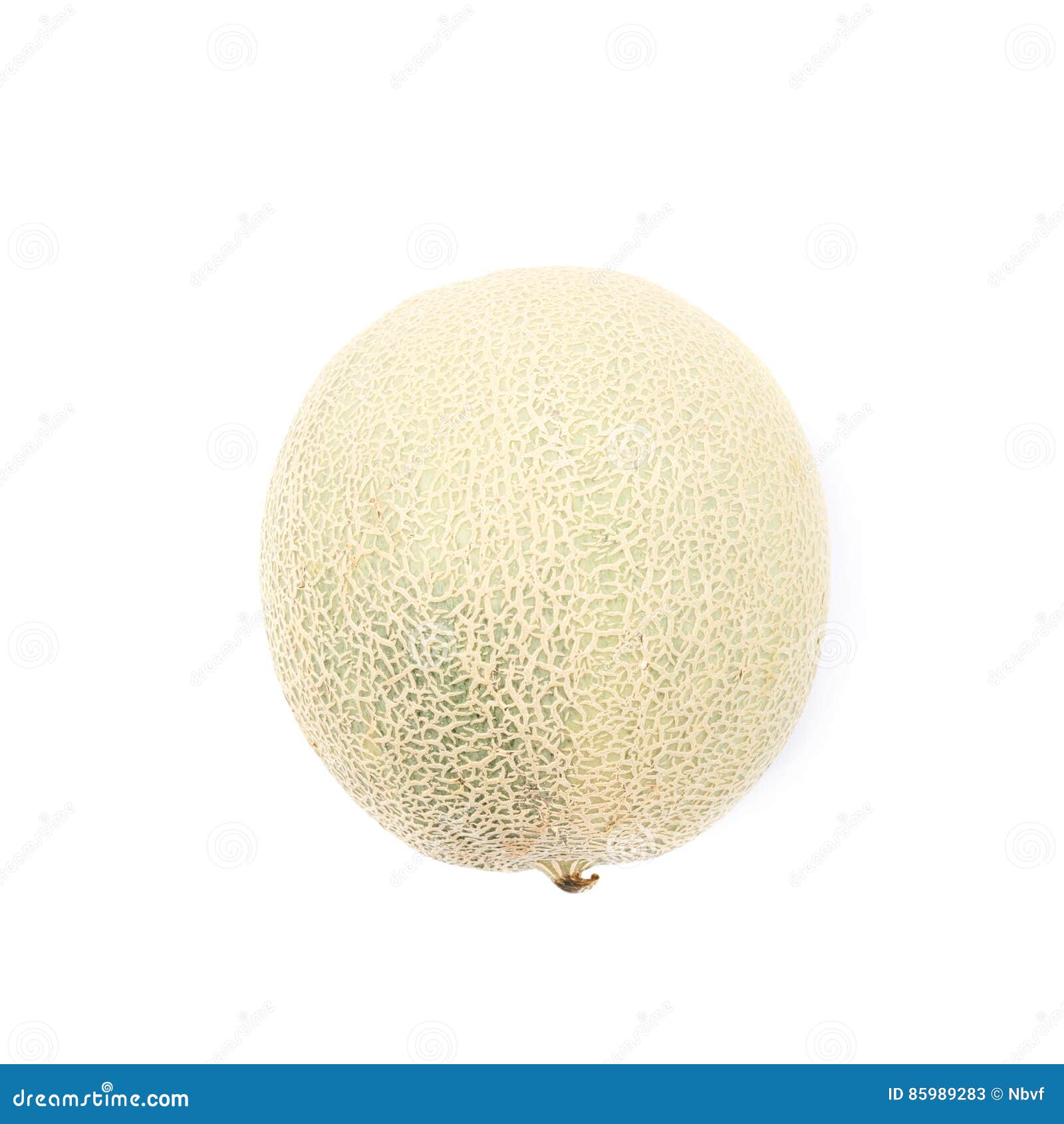 Single Whole Cantaloupe Melon Isolated Stock Image - Image of healthy ...