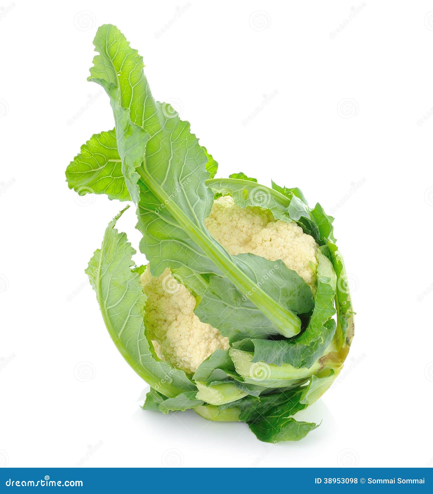 Single Whole Cauliflower Isolated on White Stock Photo - Image of vein ...