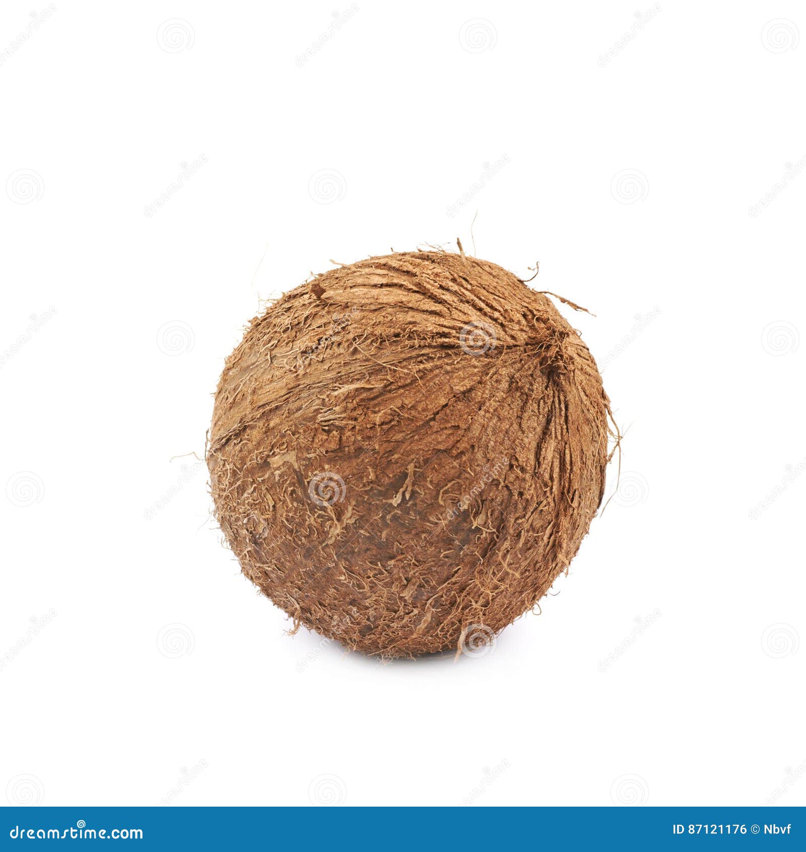 Single Whole Coconut Isolated Stock Photo - Image of object, coco: 87121176