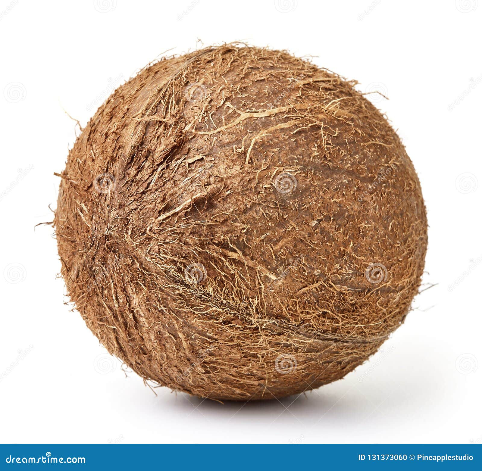 Single whole coconut stock photo. Image of healthy, exotic - 131373060