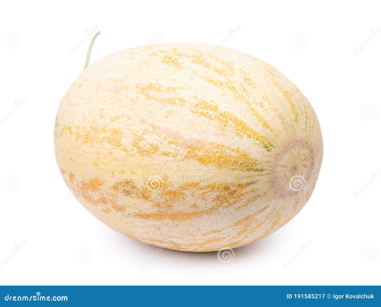 Single Whole Fresh Honeydew Melon Stock Image - Image of cutout ...