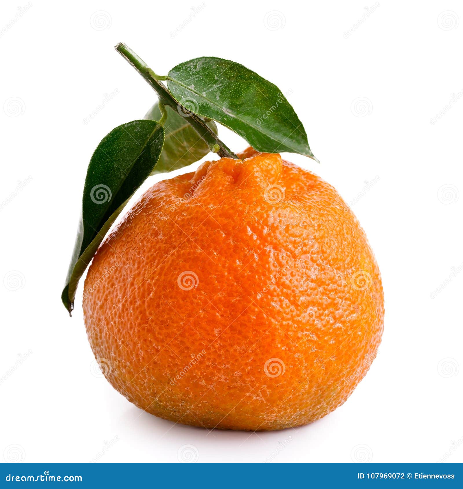 A Single Whole Mandarin with a Stem and Leaves Isolated on White Stock ...