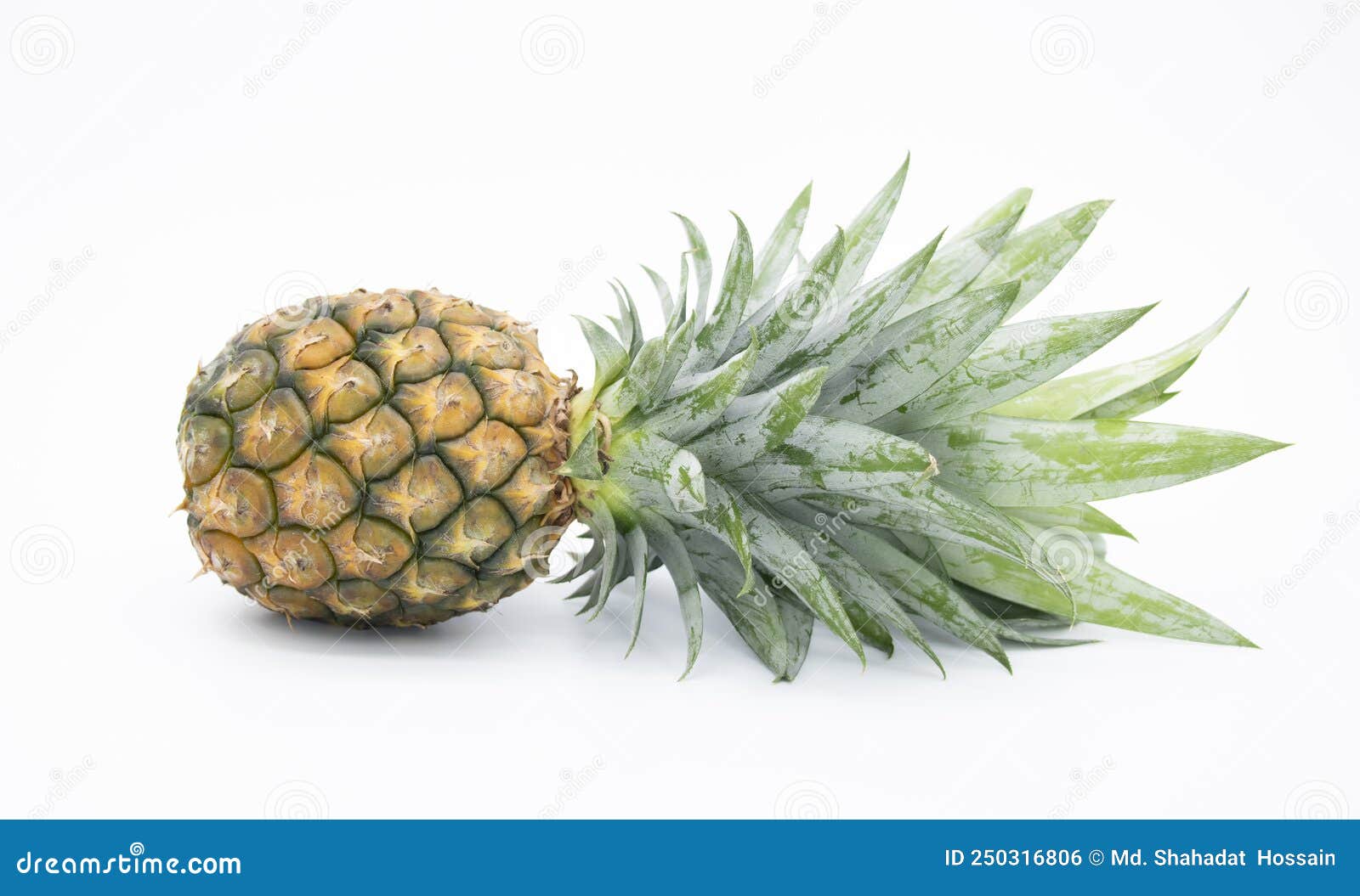 Single Whole Pineapple with Leaves Isolated on White Background Stock ...