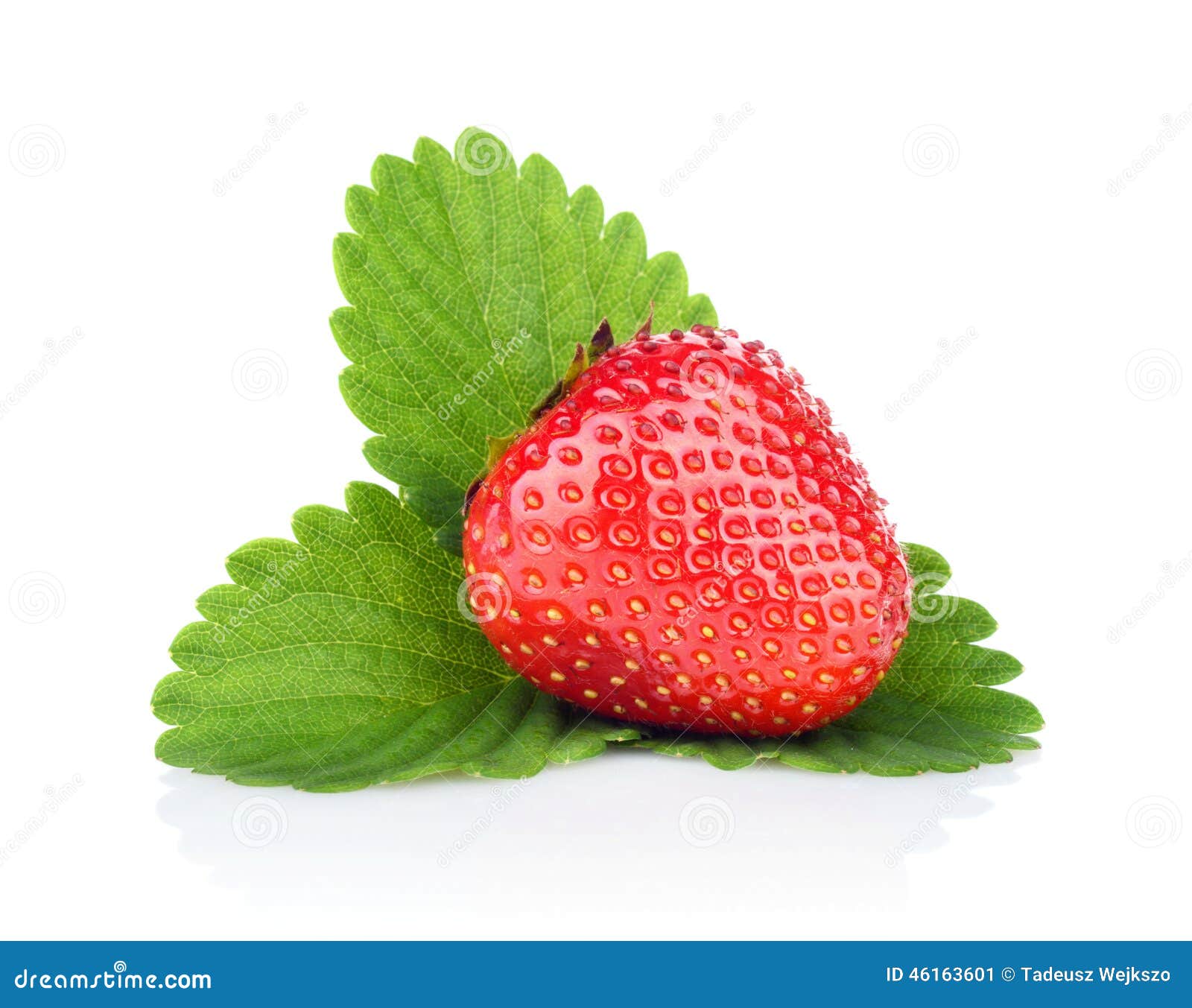 Single Whole Strawberry with Leaf Isolated Stock Image - Image of ...