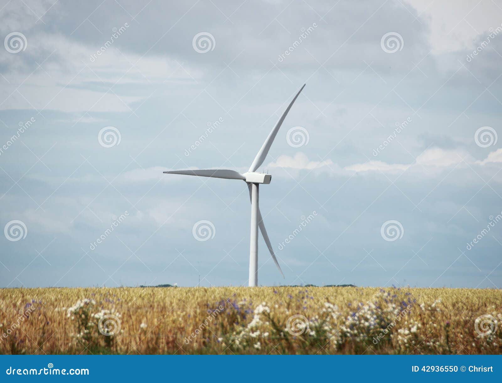 Single Windmill in Grass Field with Clouds Stock Photo - Image of ...
