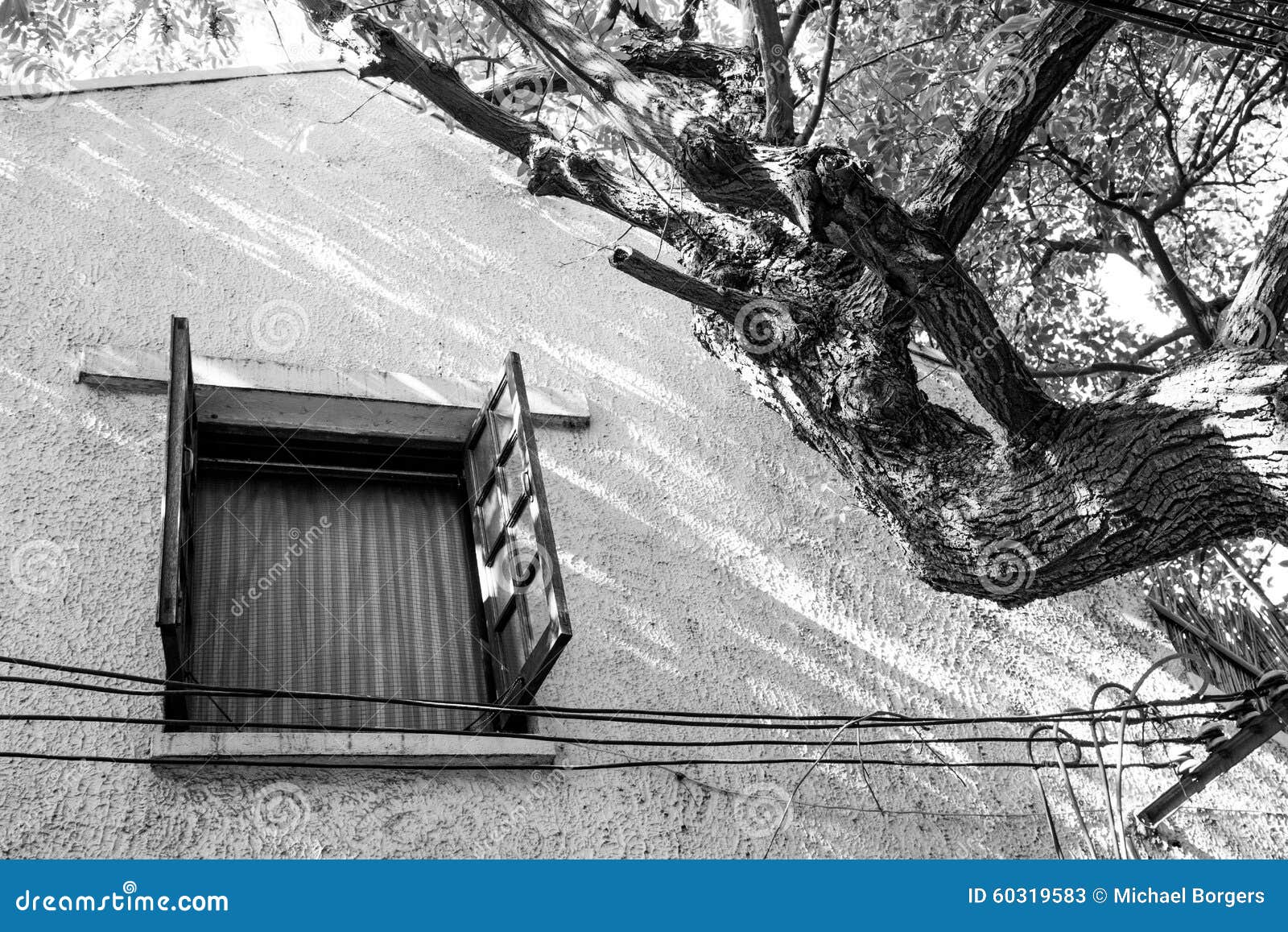 Single Window Next To Scary Tree Stock Image - Image of sunlight, black ...