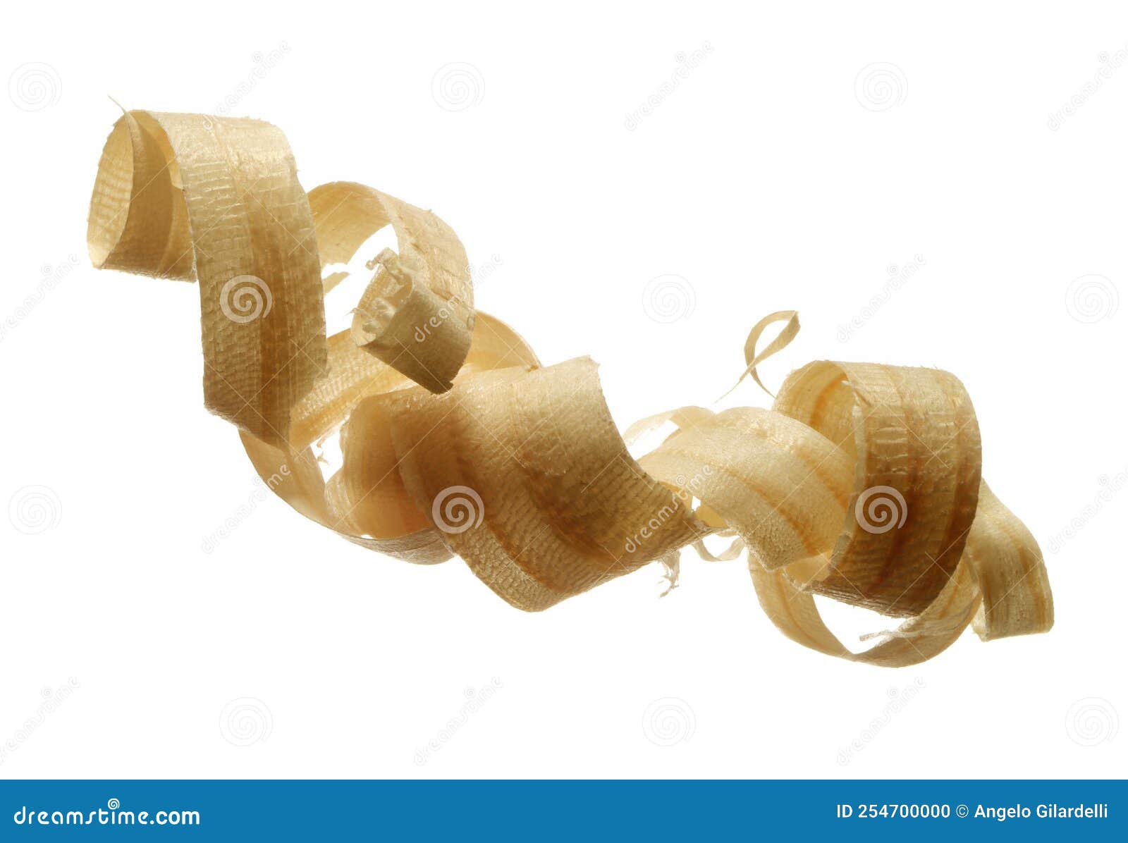 Single Wooden Chips from Industrial Processing, Texture on White ...