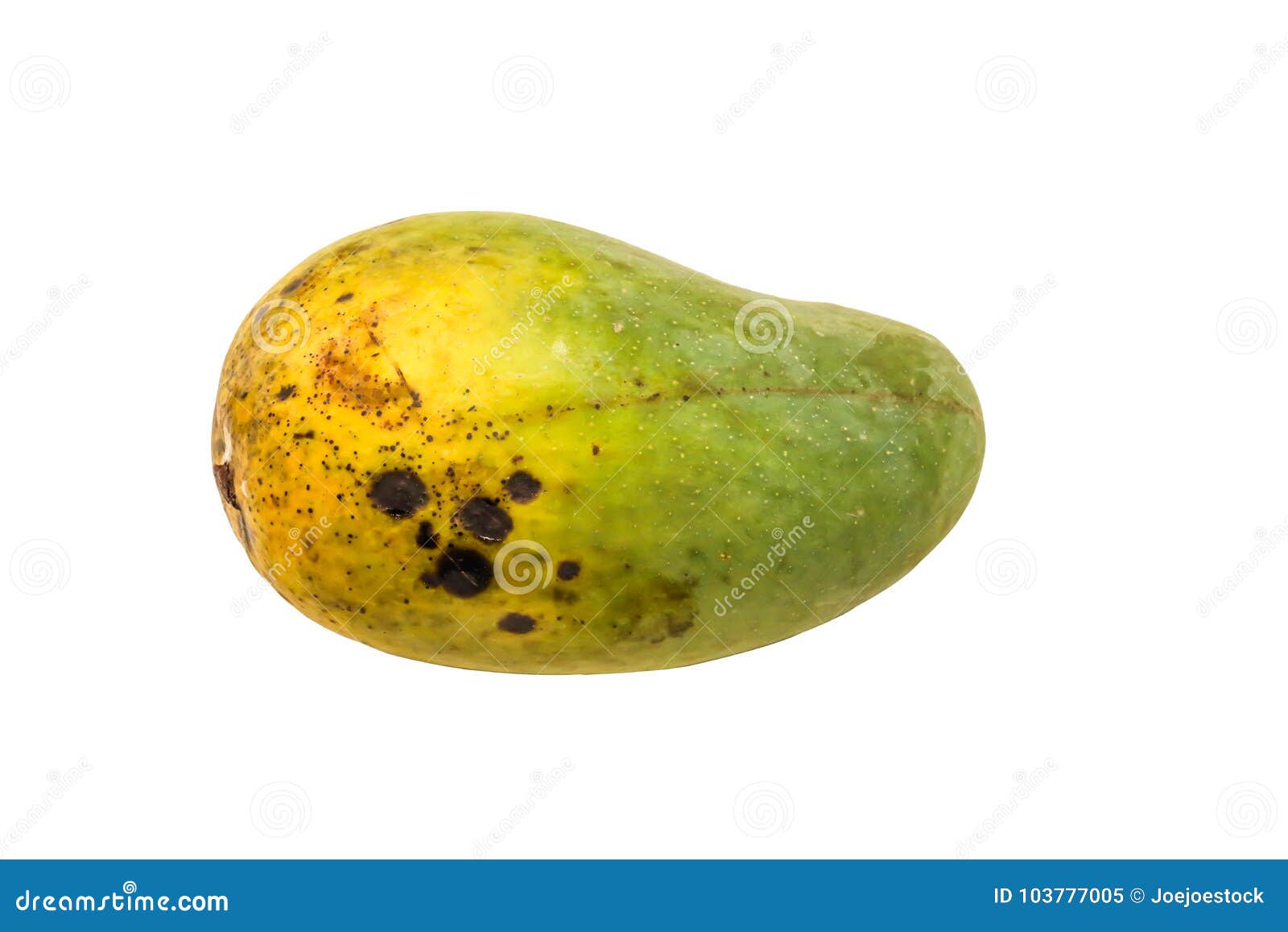 Single Yellow and Green Mango Isolated on White Background Stock Image ...