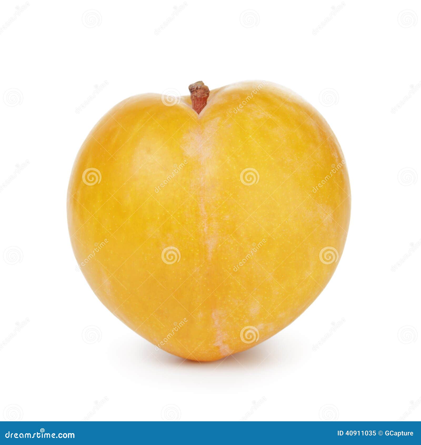 Single yellow plum stock image. Image of nutrition, single - 40911035