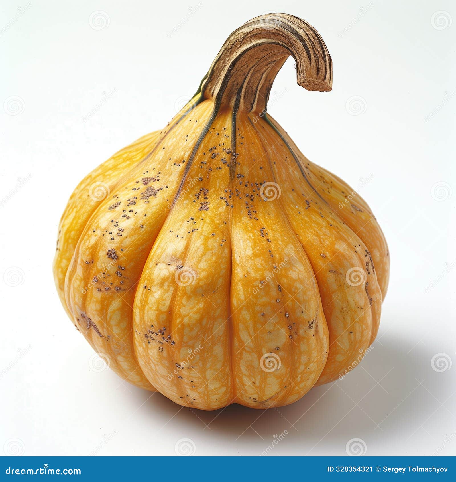 Single Yellow Squash with Green Stripes and Stem on White Background ...