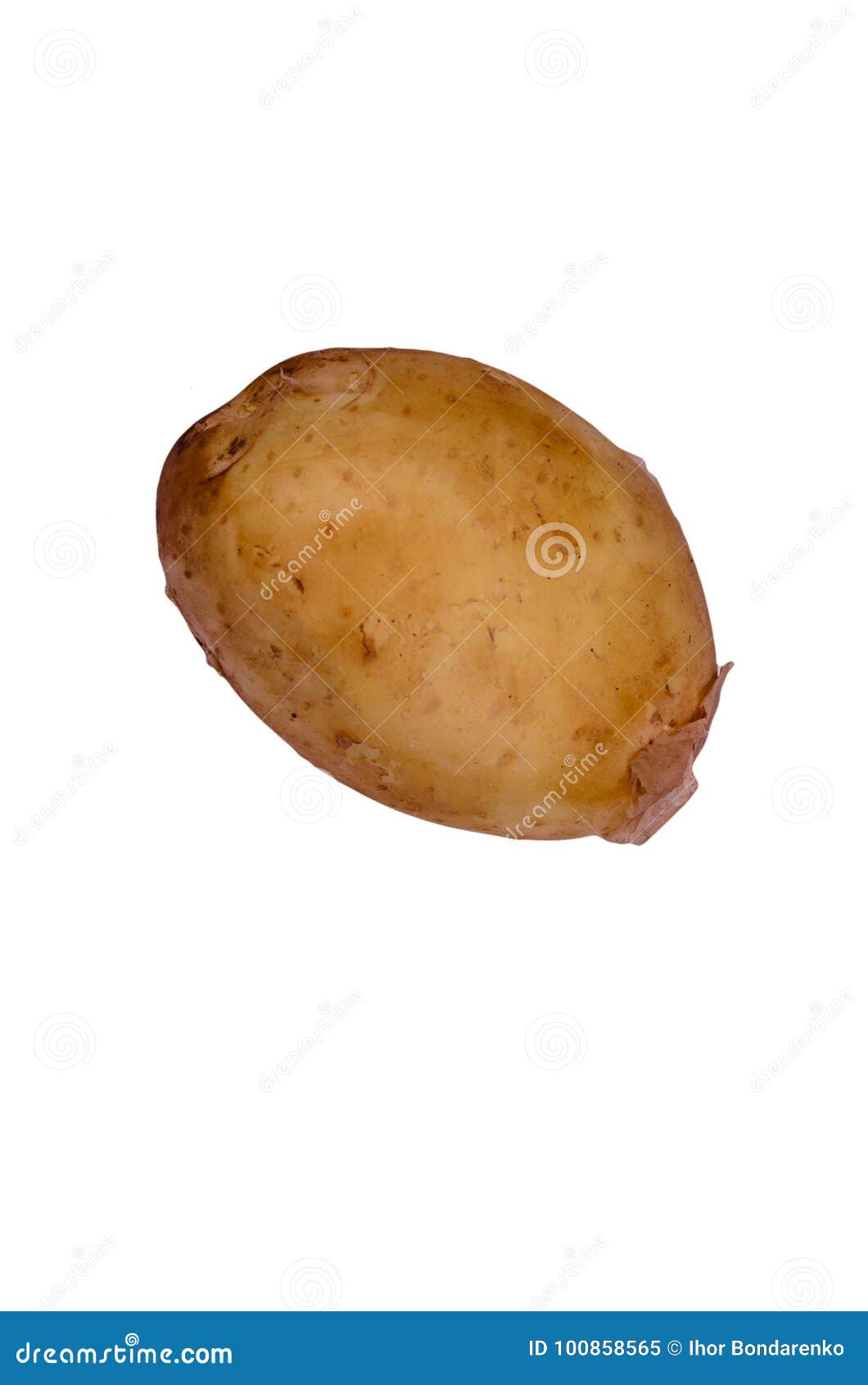 Single Young Potato Isolated on White Stock Image - Image of gardening ...