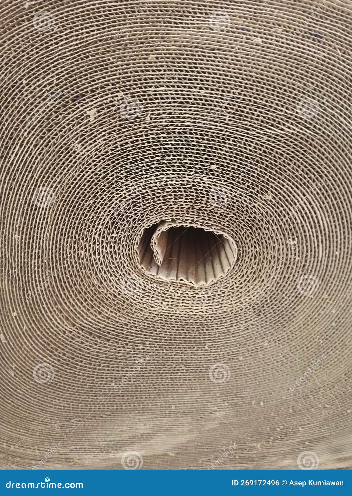 Singleface with a Uniquely Shaped Layer Stock Photo - Image of uniquely ...