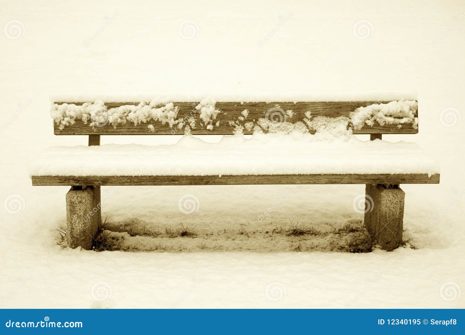 Singly stock image. Image of natural, foggy, forest, mist - 12340195