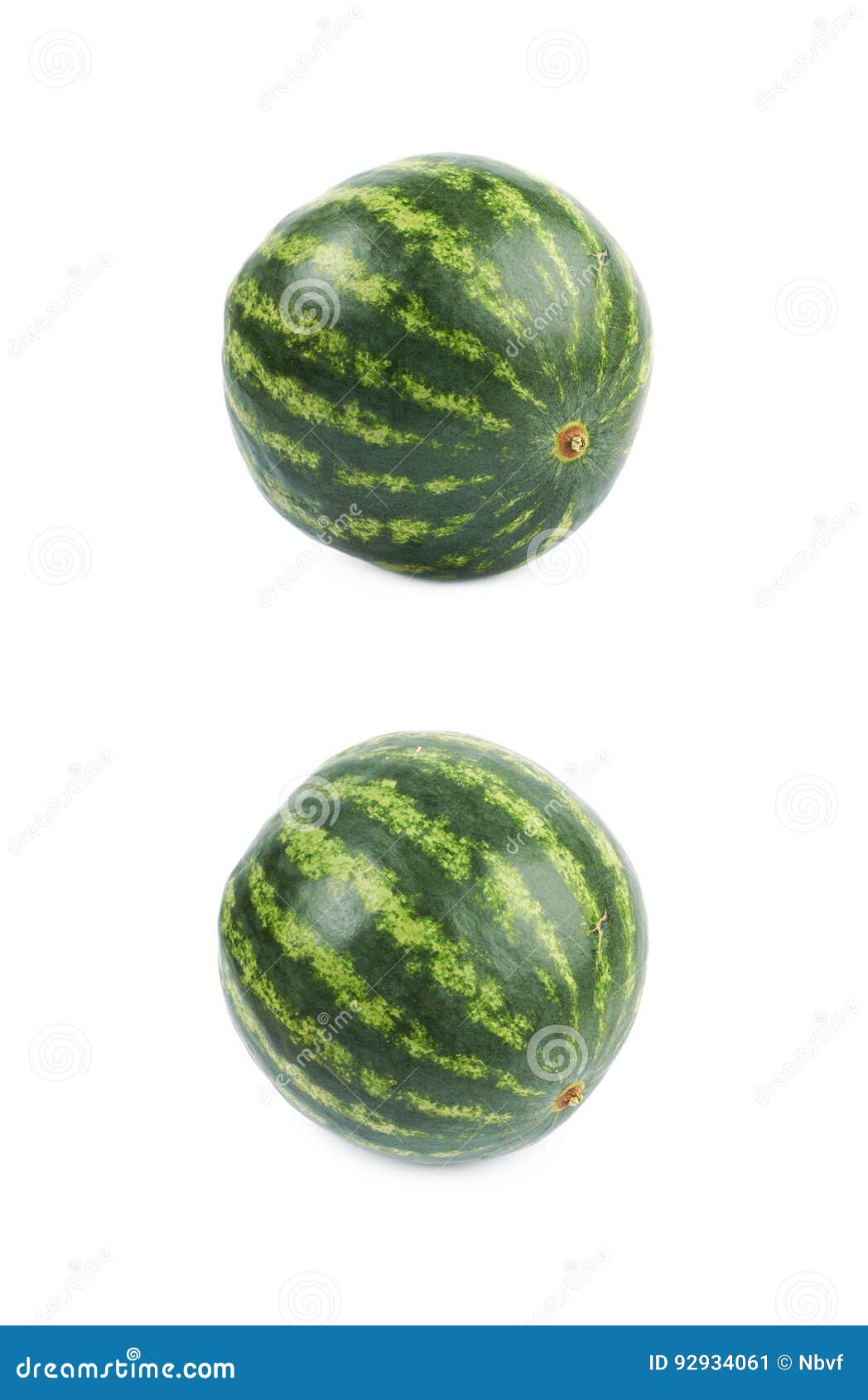 Singola Intera Anguria Isolata Immagine Stock - Immagine di frutta ...