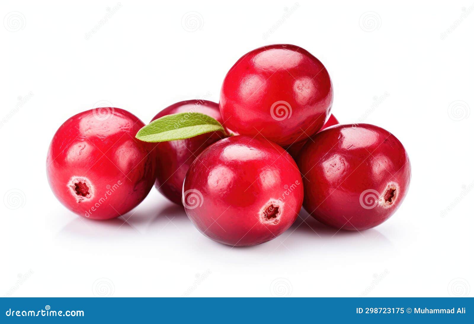 Singular Cranberry Isolation on White Background Stock Image - Image of ...
